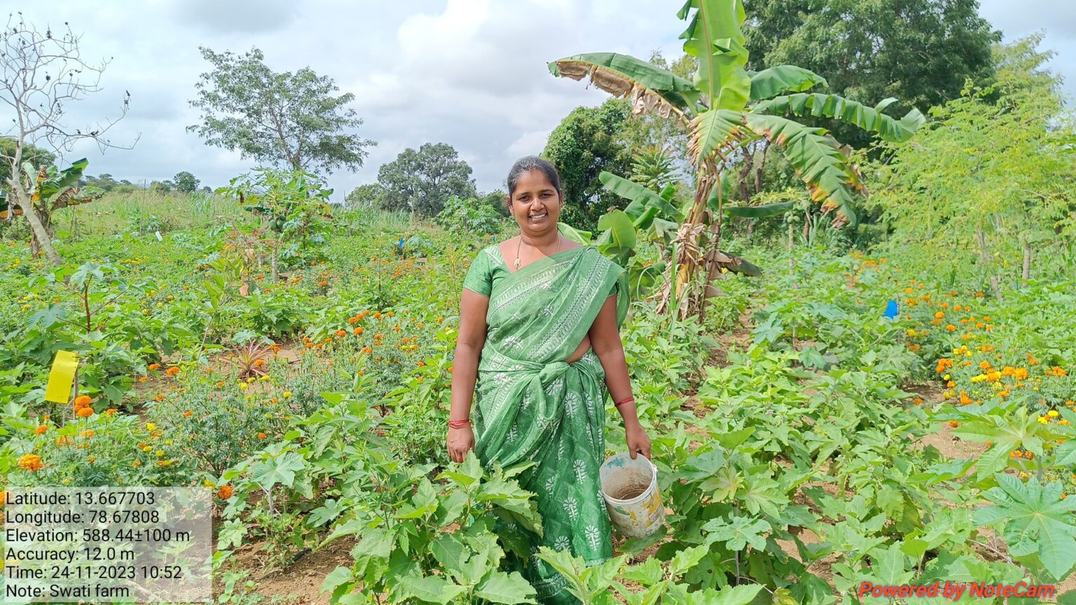 JIVA | Natural Farming Transition Plan